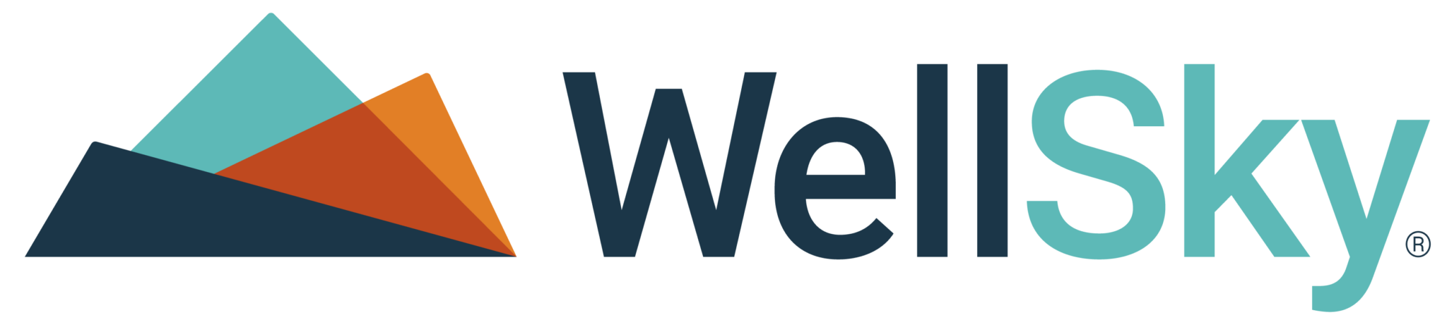 WellSky - Health Evolution